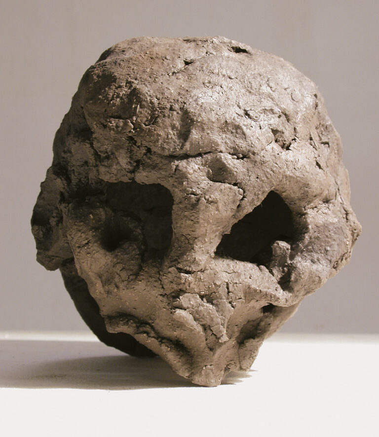 Crani petit negre - Fundació Suñol